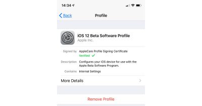 How to Unenroll Your iPad or iPhone from the iOS Public Beta Program