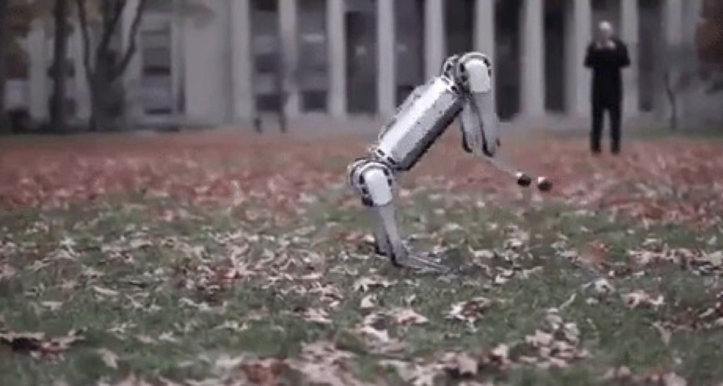 You'll do Backflips When You See This Robot do Backflips - The Mac Observer