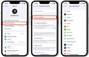 iOS 13: Where to Find Sign in With Apple Logins