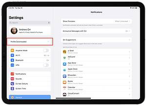 NextDNS Lets You Create Configuration Files for iOS 14 Encrypted DNS