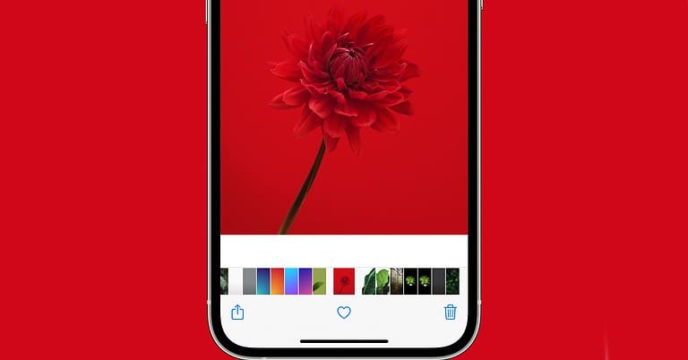 Favorited iCloud Photos Now Sync to Google Photos