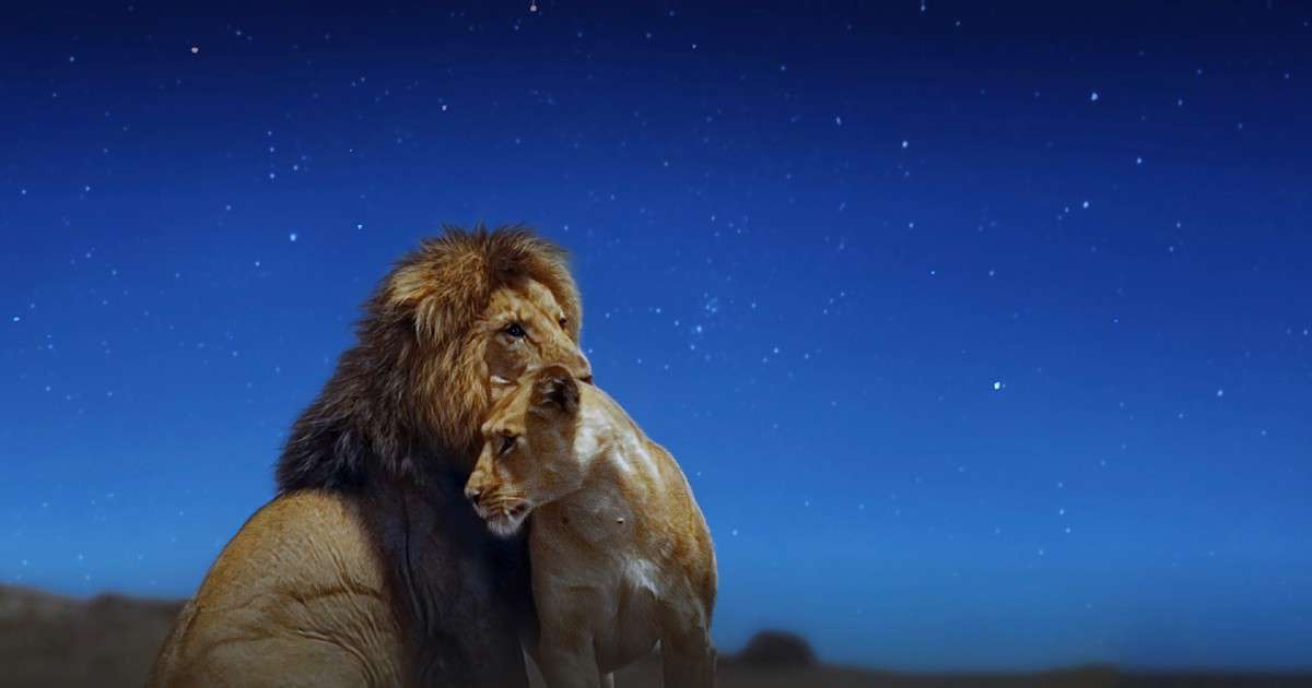 Apple’s ‘Earth at Night in Color’ Nature Documentary is Dark