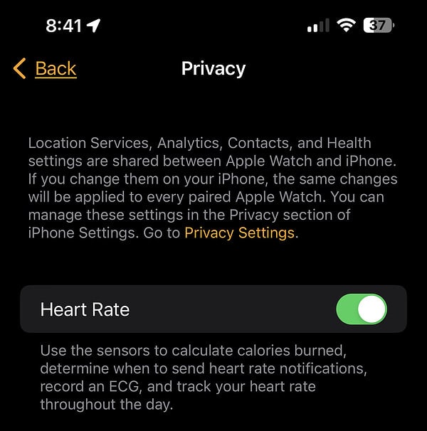 How to Use Apple Watch Route Tracking