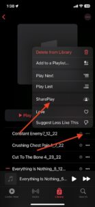 How to Use SharePlay on iPhone- The Mac Observer