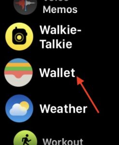 How To Find Apple Card Number Without iPhone - The Mac Observer