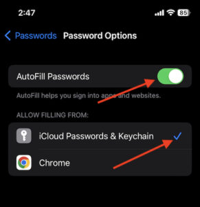 How to Use Passkeys on iPhone