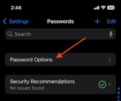 How to Use Passkeys on iPhone