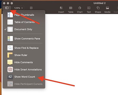 How to Add Word Count on Pages