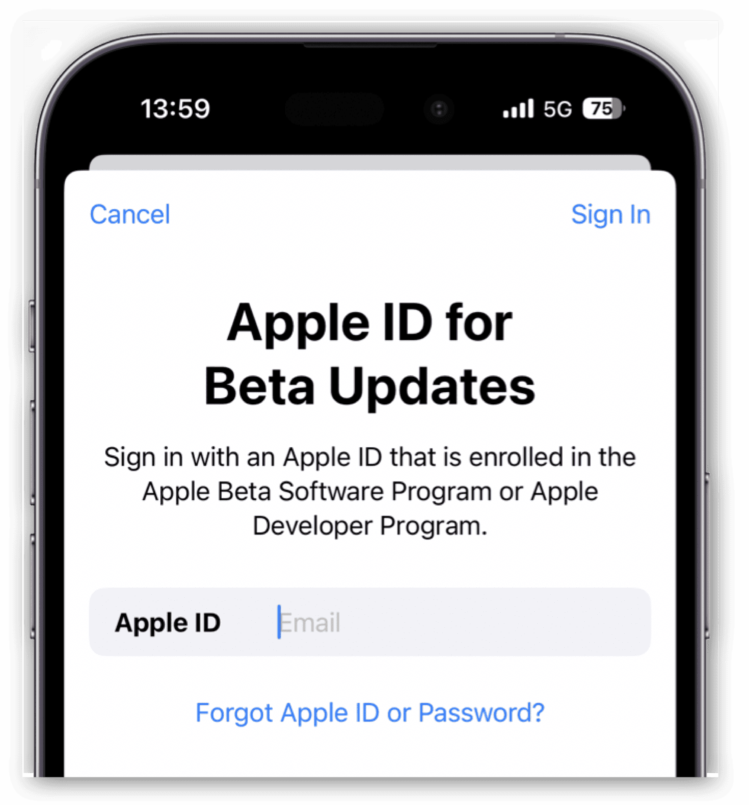 How To Change Your Apple ID for Beta Downloads