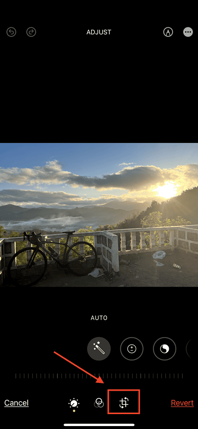 How to Crop Photos on iPhone Manually and Using Presets
