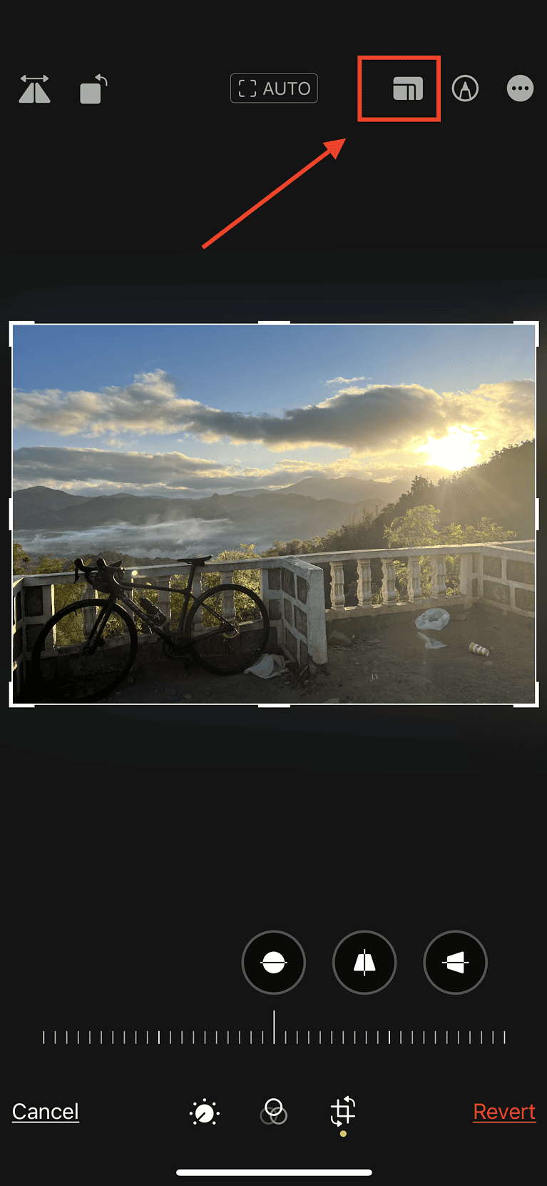 How to Crop Photos on iPhone Manually and Using Presets