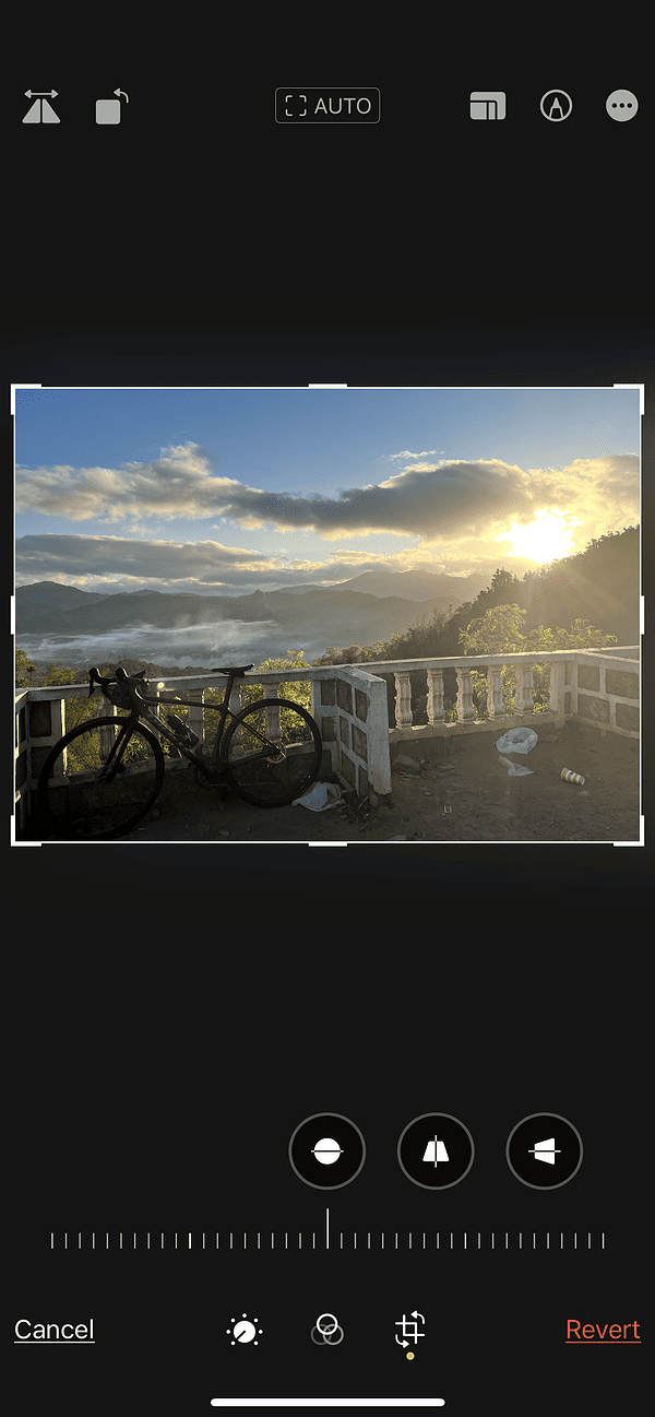 How to Crop Photos on iPhone Manually and Using Presets