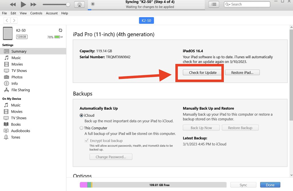 How to Update an Old iPad to iOS 14 with/without a Computer - The Mac ...