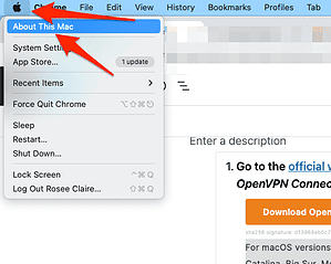 How To Set Up OpenVPN Server and Client on macOS - The Mac Observer