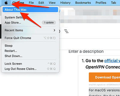 How To Set Up OpenVPN Server and Client on macOS - The Mac Observer