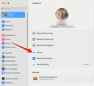 How to Fix iCloud Link Not Loading or Working