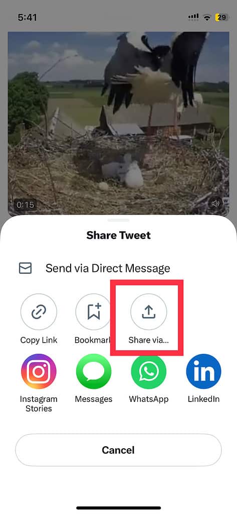 How to Download Twitter Videos on iPhone- The Mac Observer