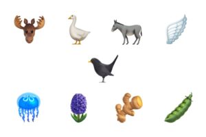 New iOS 16.4 Emojis and Their Meaning- The Mac Observer