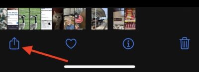 How To Make a PDF On iPhone the Easy Way - The Mac Observer
