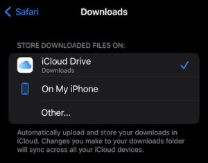 How to Clear Safari Documents and Data on iPhone and iPad- The Mac Observer