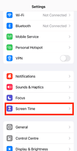 How to Enable and Use Screen Distance on iOS 17
