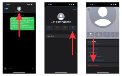 How To Recognize and Protect Yourself From an iMessage Scam - The Mac ...