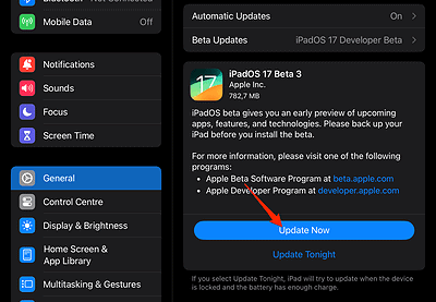 How to Update an Old iPad to iOS 14 with/without a Computer - The Mac ...
