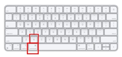 How To Copy And Paste on Mac | A Comprehensive Guide- The Mac Observer