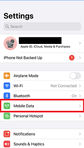 How to Prevent Network Provider Charges for FaceTime and iMessage ...