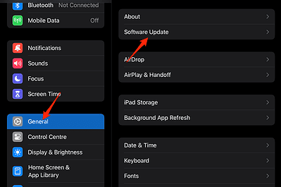 How to Update an Old iPad to iOS 14 with/without a Computer - The Mac ...