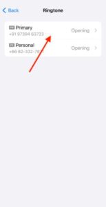 How To Keep Different Ringtones for Each SIM on iPhone