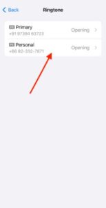 How To Keep Different Ringtones for Each SIM on iPhone