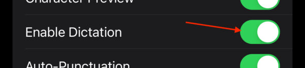 How to Turn on Voice to Text on iPhone
