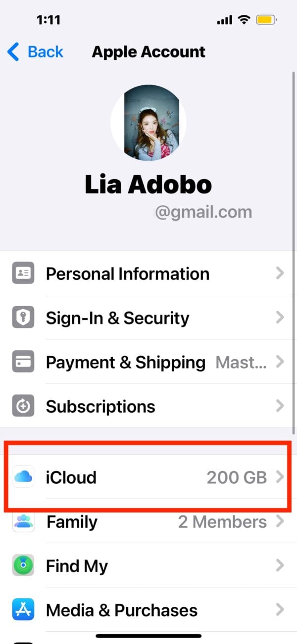 How To Create an iCloud Email Address | Step-By-Step Guide - The Mac Observer