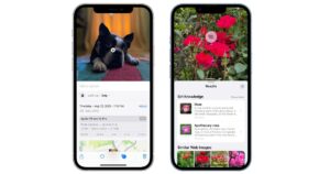 How to Fix Visual Lookup Not Working on iPhone | Quick Guide