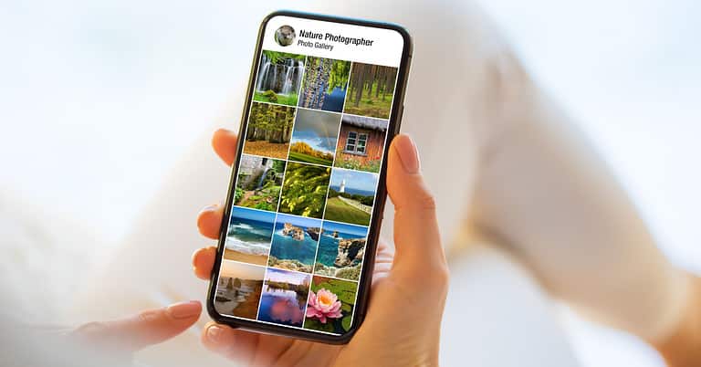 Apple Photos Albums vs Folders: What They Actually Do and How to Use ...