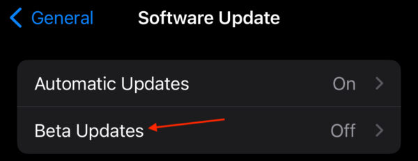 How to Uninstall iOS or iPadOS Beta Software | Full Guide