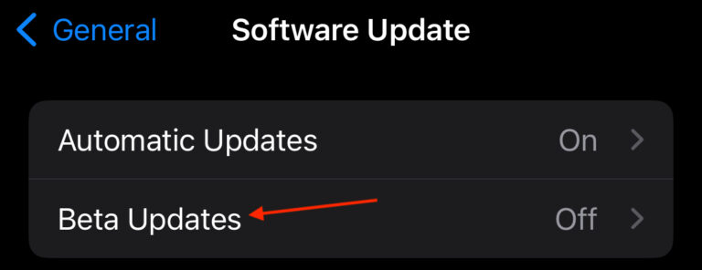 How to Uninstall iOS or iPadOS Beta Software | Full Guide