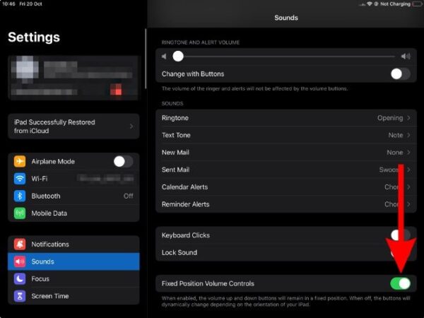 Fix: Dynamic Volume Control Not Working on iPadOS 17