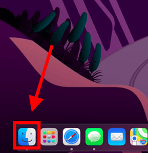 How To Check Safari History on iPhone and Mac
