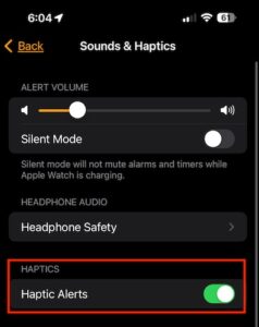 Fixed: Apple Watch Not Answering Calls- The Mac Observer