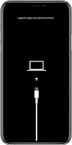 iPhone Green Screen of Death: Why It Happens and How to Fix It - The ...