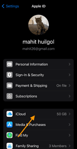 How to Create and Share Grocery List on the iOS 17 Reminders app
