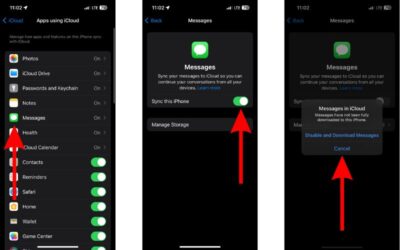 Fix: Messages Not Restored From iCloud Backup to New iPhone - The Mac ...