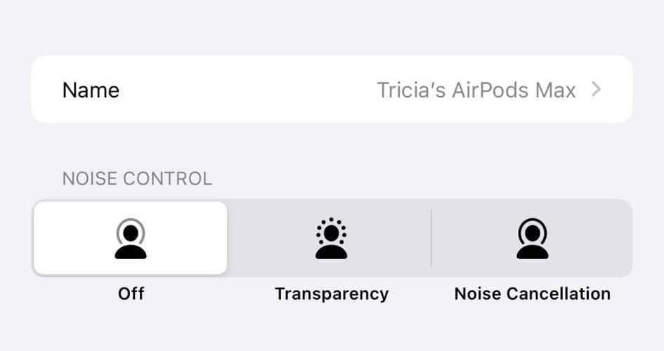 4 Fixes for AirPods Making High-Pitched Noise - The Mac Observer