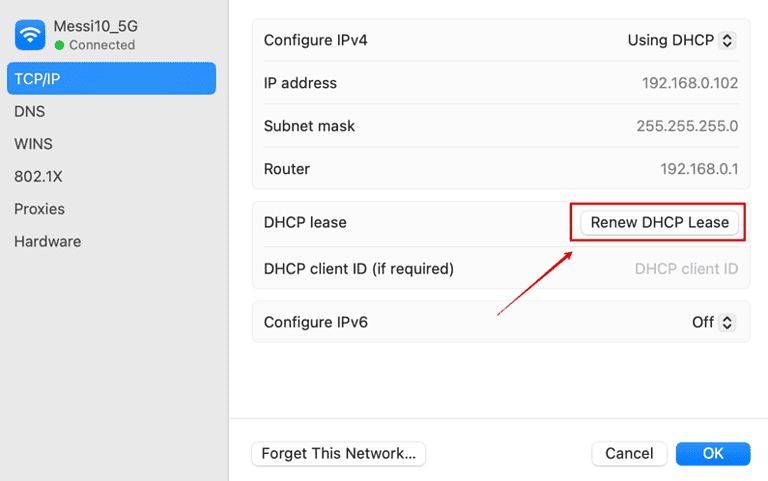 Safari Can't Find The Server? 7 Ways To Fix It - The Mac Observer