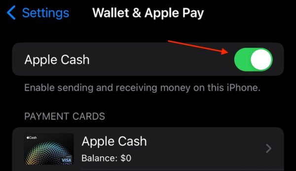 Fix: Apple Card Daily Cash Is Not Showing Up - The Mac Observer
