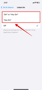Fix: Siri Stuck on 'Something Went Wrong Please Try Again' - The Mac ...