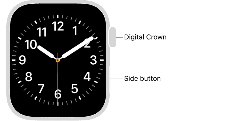 How to Restore the Workout App on Apple Watch - The Mac Observer