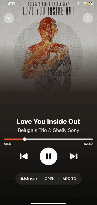 How to Shazam Any Song Playing on Your Headphone on iPhone - The Mac ...